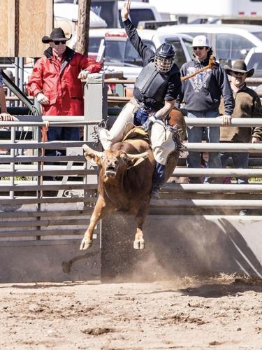 Scenes from the Ketchum Kalk Rodeo | Sports | goldendalesentinel.com