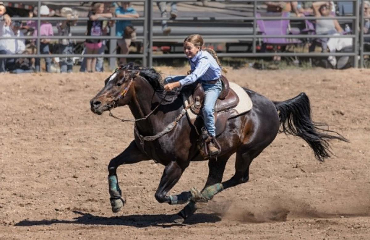 Glenwood News: The Rodeo is complete | Features | goldendalesentinel.com