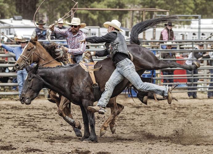 Scenes from the Ketchum Kalf Rodeo | | goldendalesentinel.com