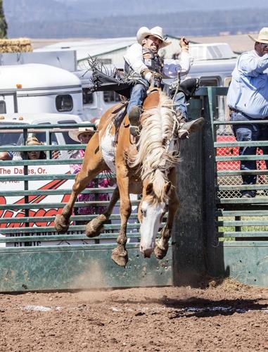 Klickitat County Fair Rodeo pictures | Sports | goldendalesentinel.com
