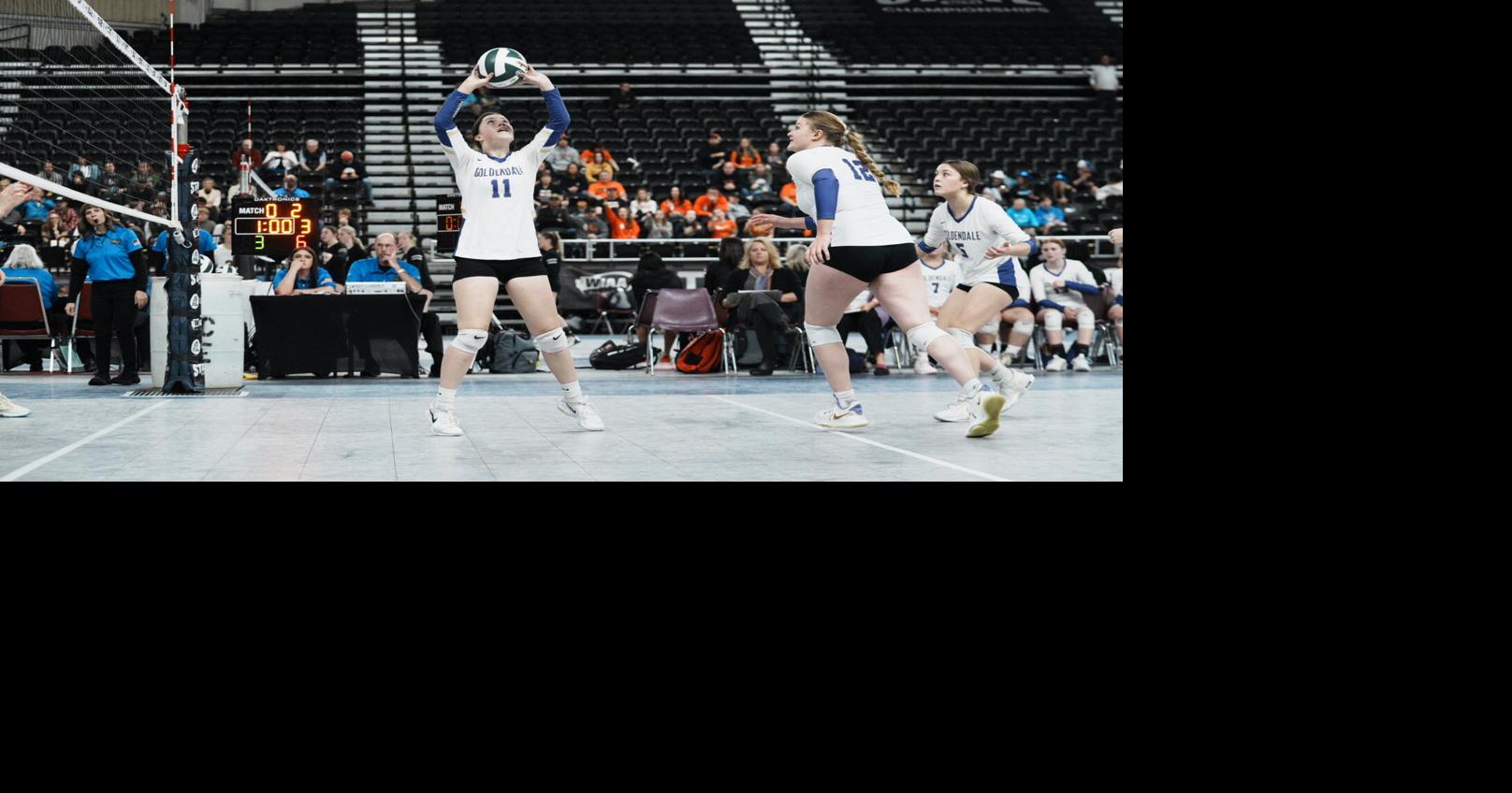 Timberwolves earn 7th place trophy at State Volleyball | Sports ...