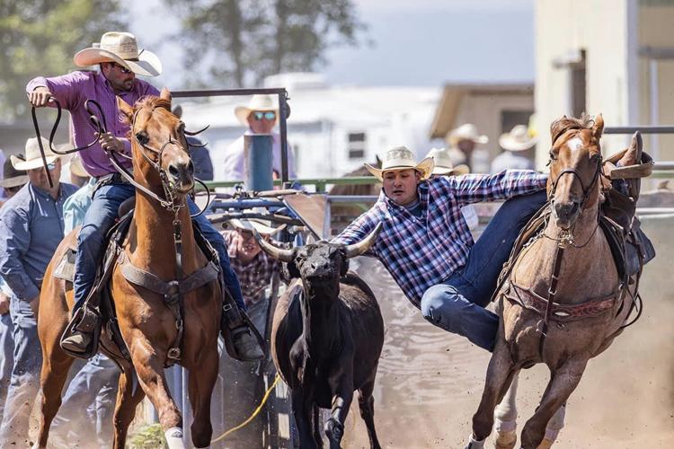 Klickitat County Fair Rodeo pictures | Sports | goldendalesentinel.com