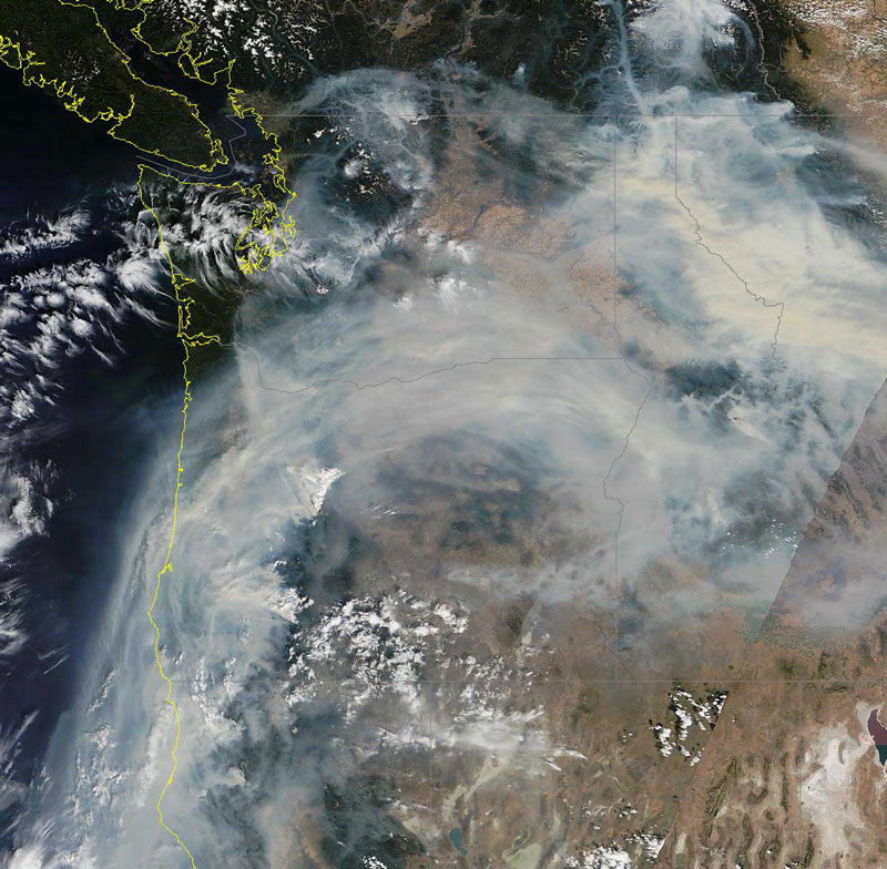 WEST COAST SMOKE | News | goldendalesentinel.com