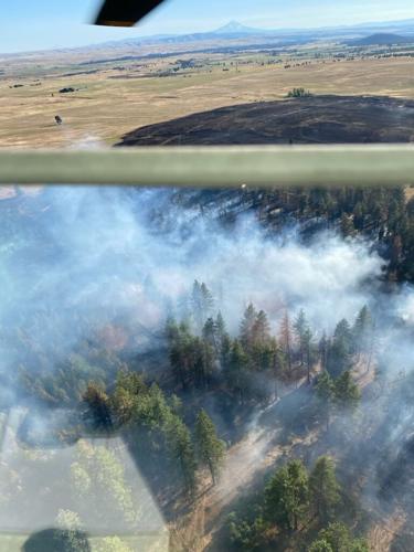 More Knight Road Fire photos | News | goldendalesentinel.com