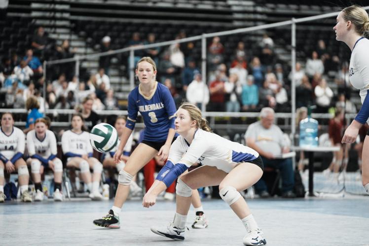 Timberwolves earn 7th place trophy at State Volleyball | Sports ...
