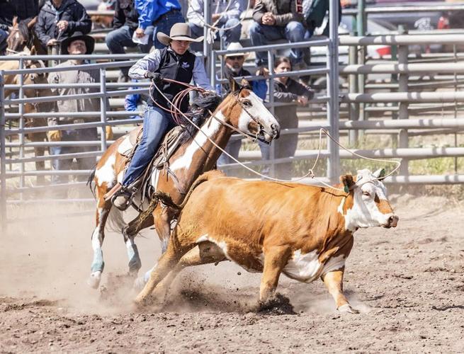 Scenes from the Ketchum Kalk Rodeo | Sports | goldendalesentinel.com