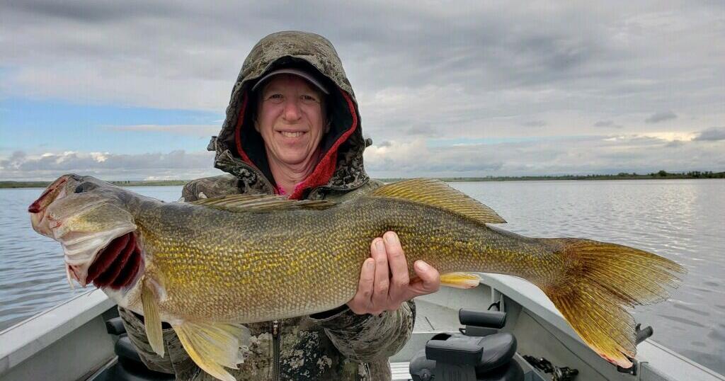 The Washington Outdoors Report: Fish & Wildlife enforcement during the ...