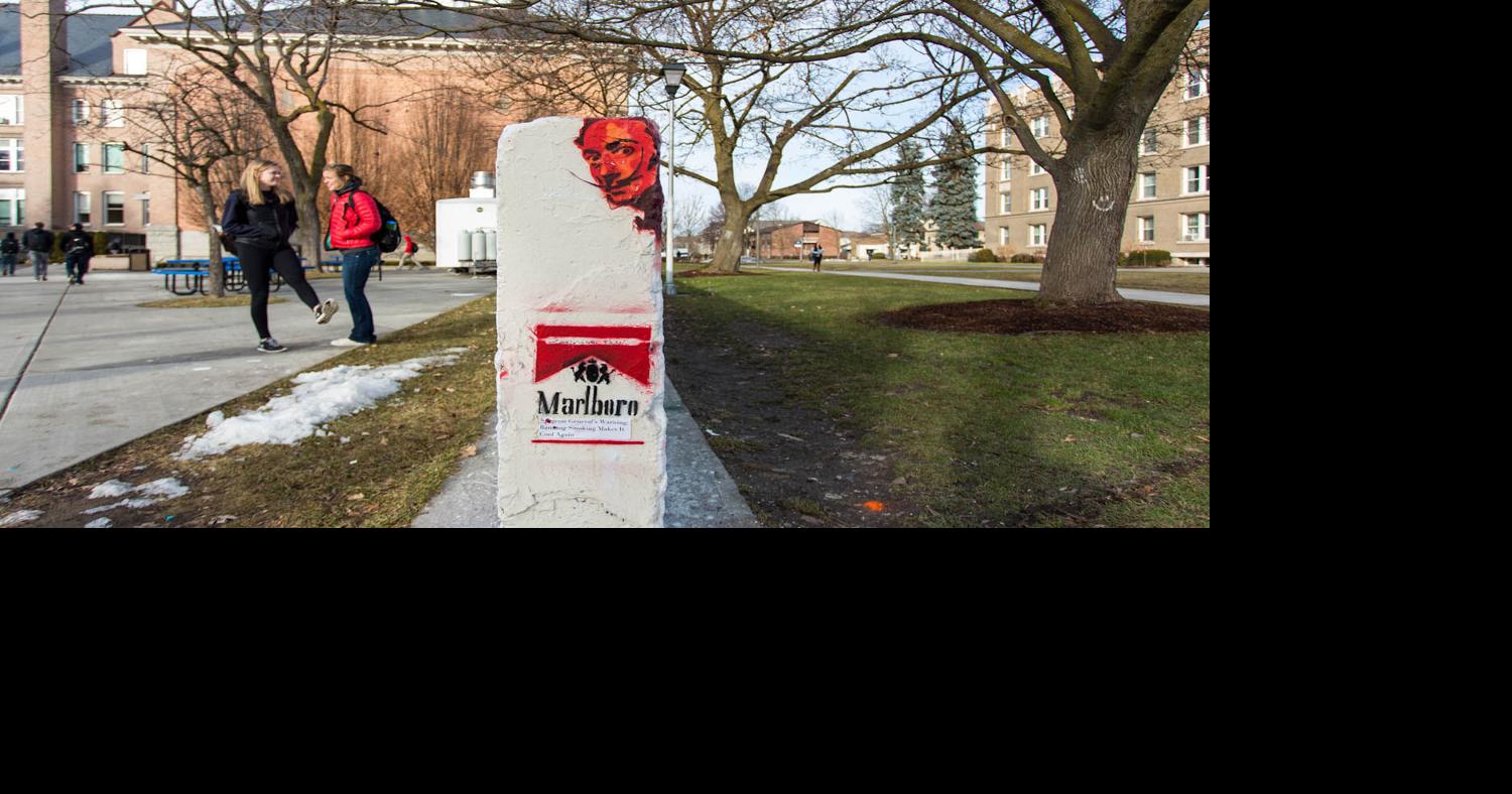 Rogue wall art brushes up controversy | Arts & Entertainment ...