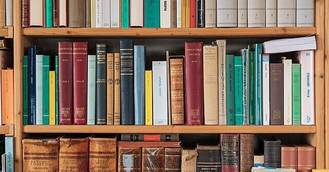 Translated works of literature are essential conduits of diversity ...