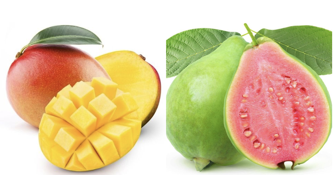 Is one fruit better than the rest? Guava and mango put to the test ...