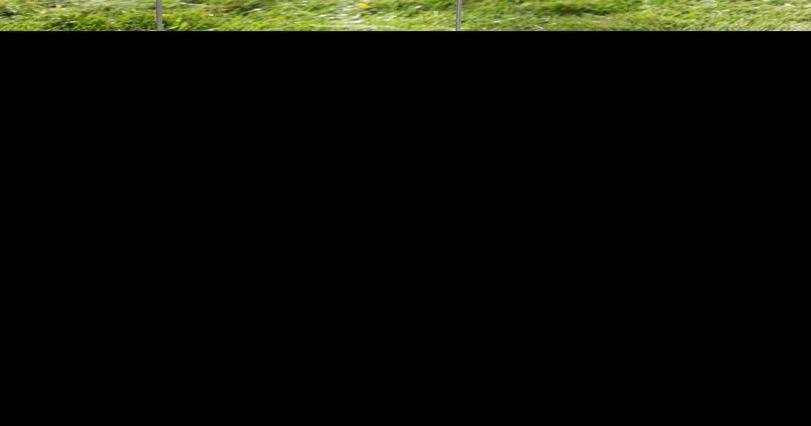 Logan Neighborhood Block Party set to unite students and local ...