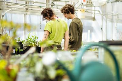 GU students create new plant propagation and restoration course | News ...