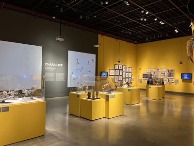 From Australia to Spokane: MAC hosts Dreamworks Animation exhibit ...