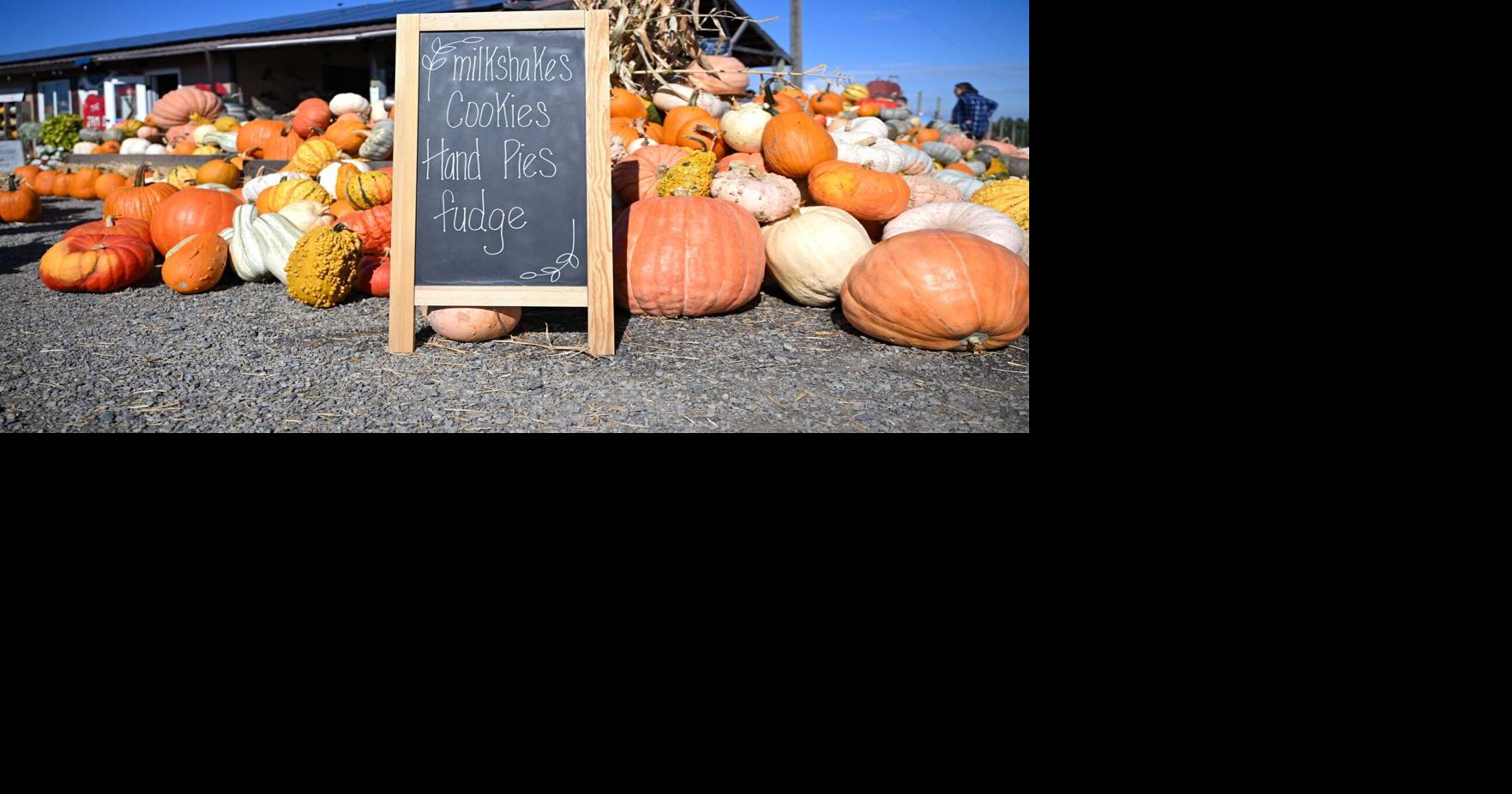 Spokane farms bring the fun this fall with activities for everyone ...