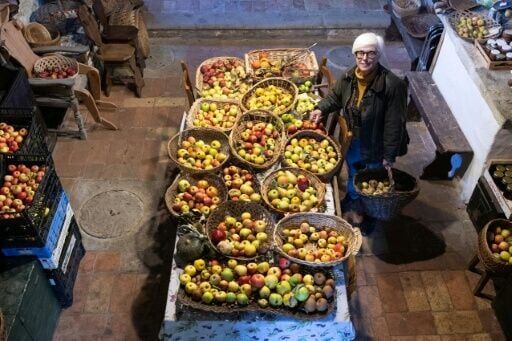 Italian fruit detective racing to save forgotten varieties | National ...
