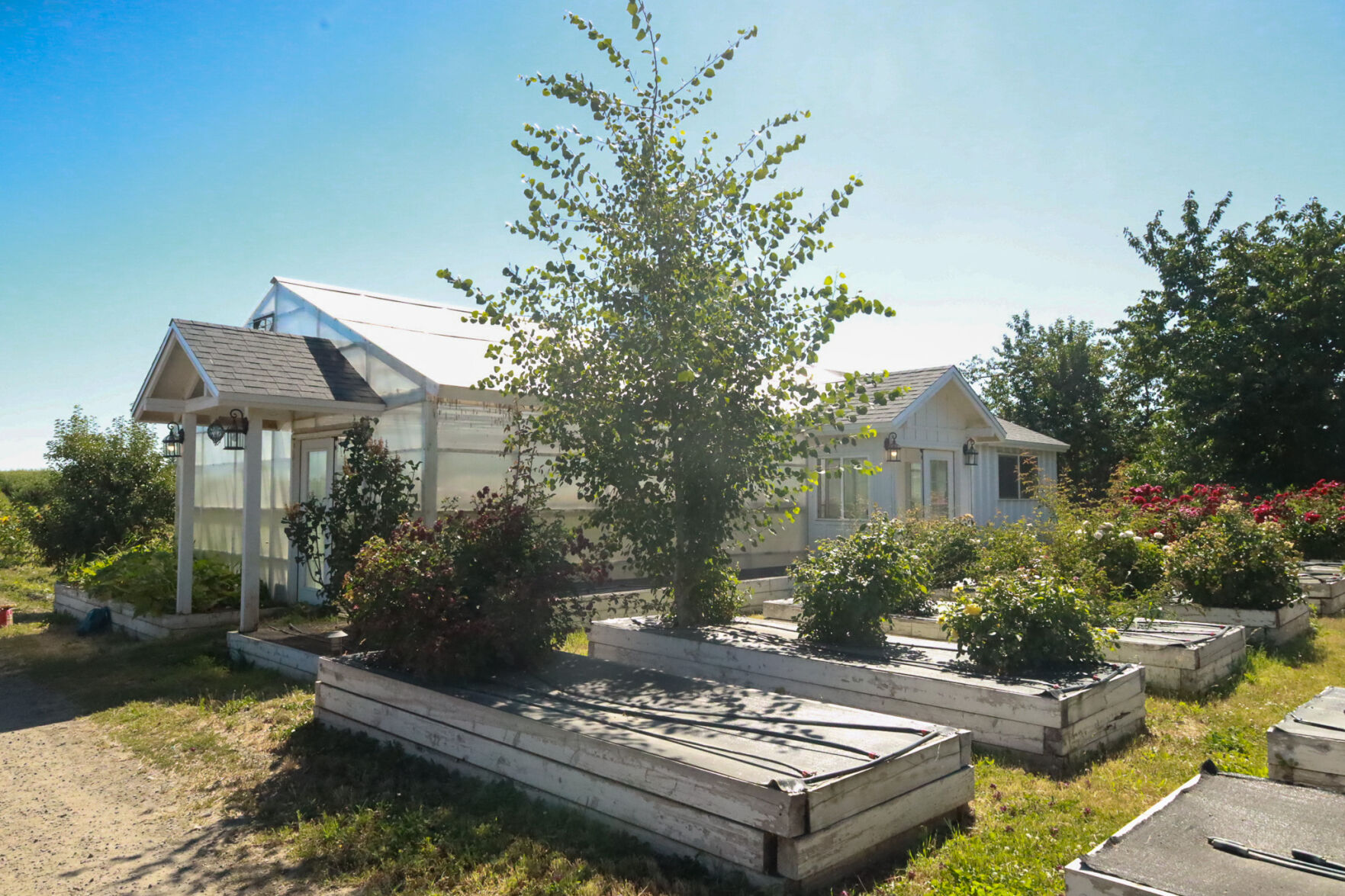 Spokane's local U-Pick farms offer fruit, flowers and fun by the ...