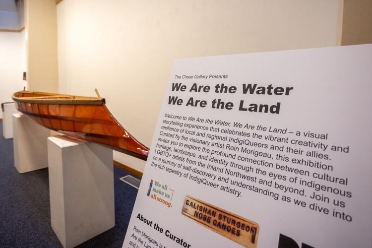 Indigiqueer visual story telling: 'We Are the Water, We Are the Land ...