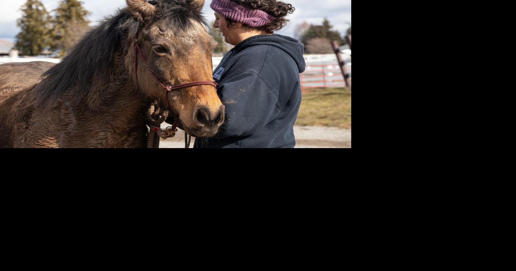 Free Rein: Horsin' around in therapy with equine riding programs | News ...