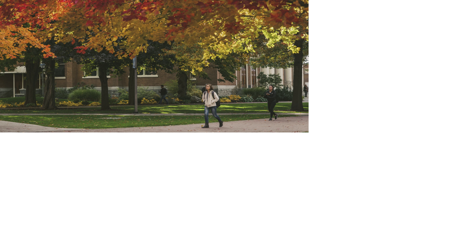 Best year of college: Sophomore slump, more like sophomore pump ...