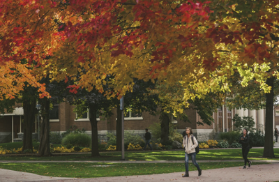 Best year of college: Sophomore slump, more like sophomore pump ...