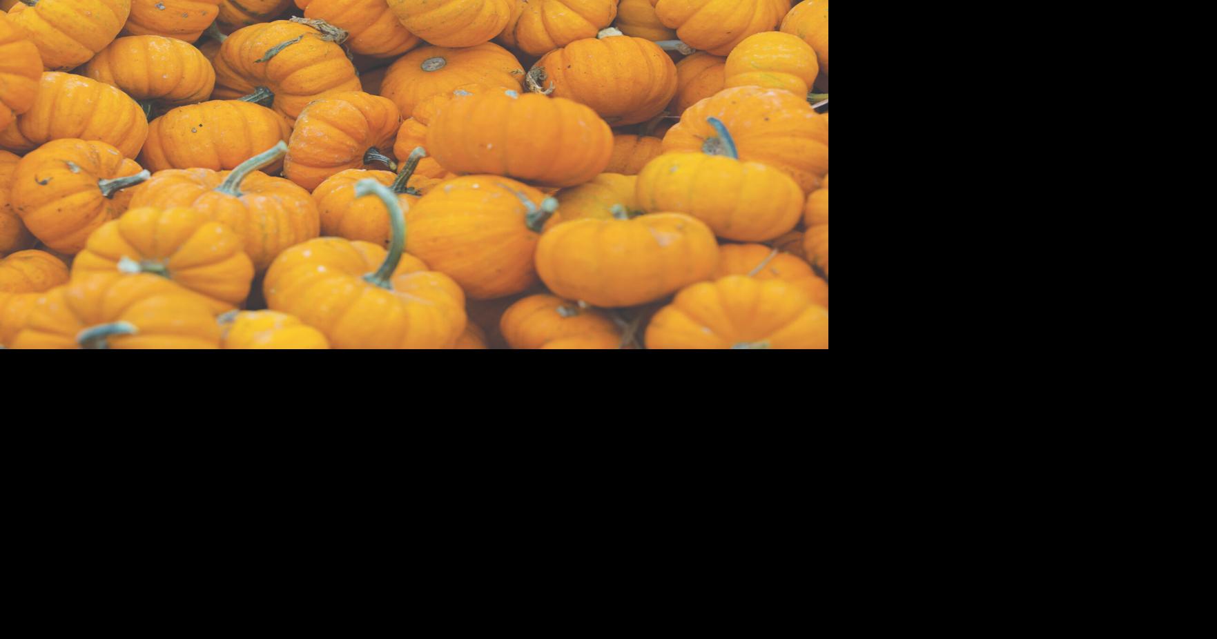 Spokane's festive fall favorites from pumpkin picking to cozy crafts ...