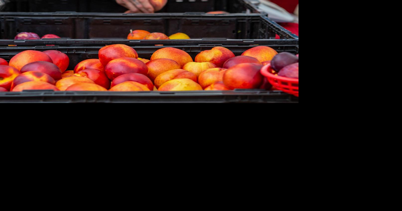 Farmers market frenzy: Local goods coming to you soon | Arts ...
