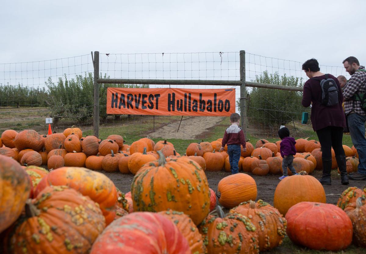 What keeps people coming back to Green Bluff | Arts & Entertainment ...