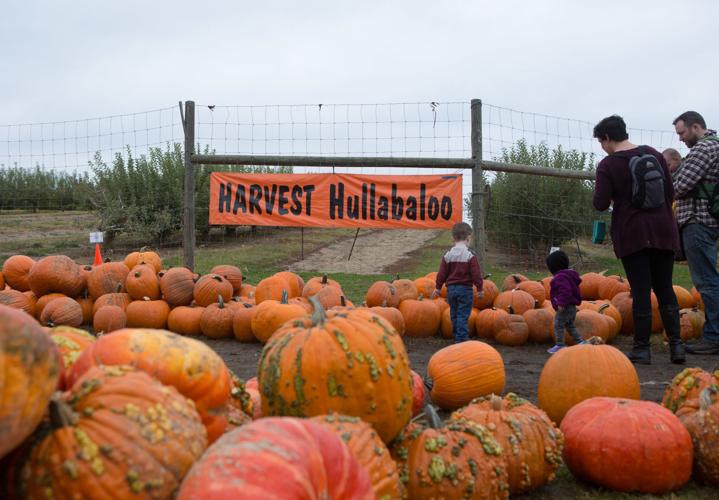 What keeps people coming back to Green Bluff | Arts & Entertainment ...