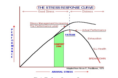 Stress and performance lead to success | Sports | gothenburgleader.com