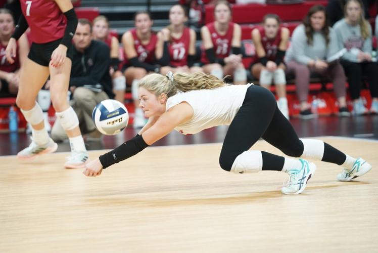 Swedes Make History - And Man, What a Ride | News | gothenburgleader.com