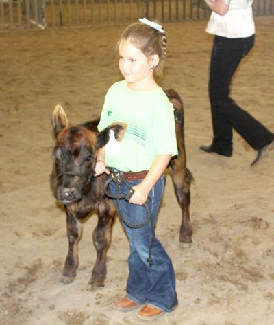 Bucket Calves Help Prepare Youngsters For Future Showmanship | News ...