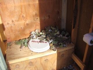 The Real Story Of Pack Rats | News | gothenburgleader.com