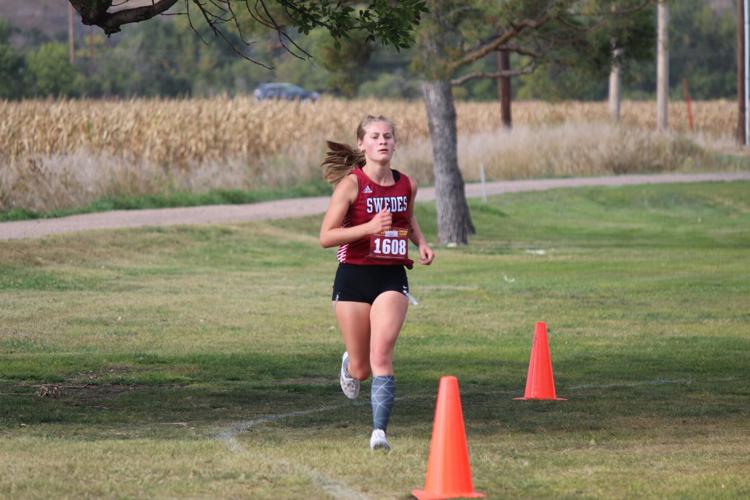 Junior High Runners Make Presence Known at State Meet | | gothenburgleader.com