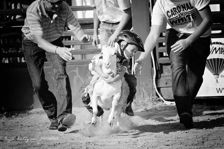 2018 Gothenburg Pony Express Rodeo | News | gothenburgleader.com