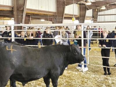 Gothenburg FFA Tests Livestock Judging Skills | News | gothenburgleader.com