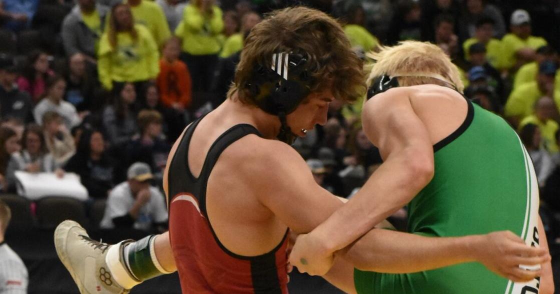 Larson Brings Home State Bronze for Eagles | Brady Bulletin ...