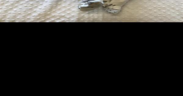 Carson Joe Haynes | Birth Announcements | gothenburgleader.com