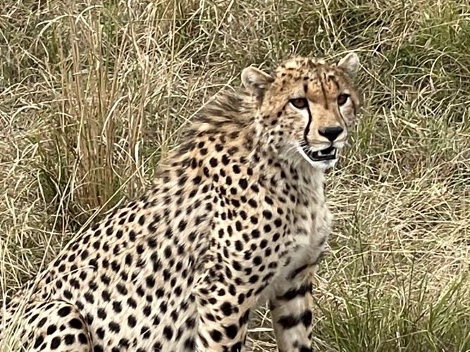 Trip of a Lifetime | News | gothenburgleader.com