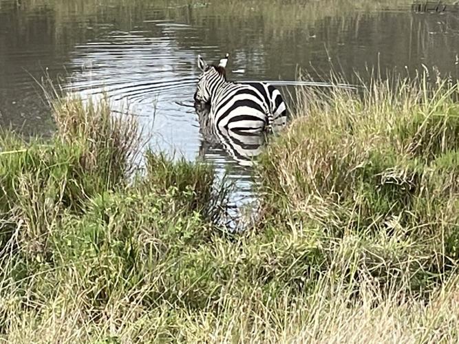 Trip of a Lifetime | News | gothenburgleader.com