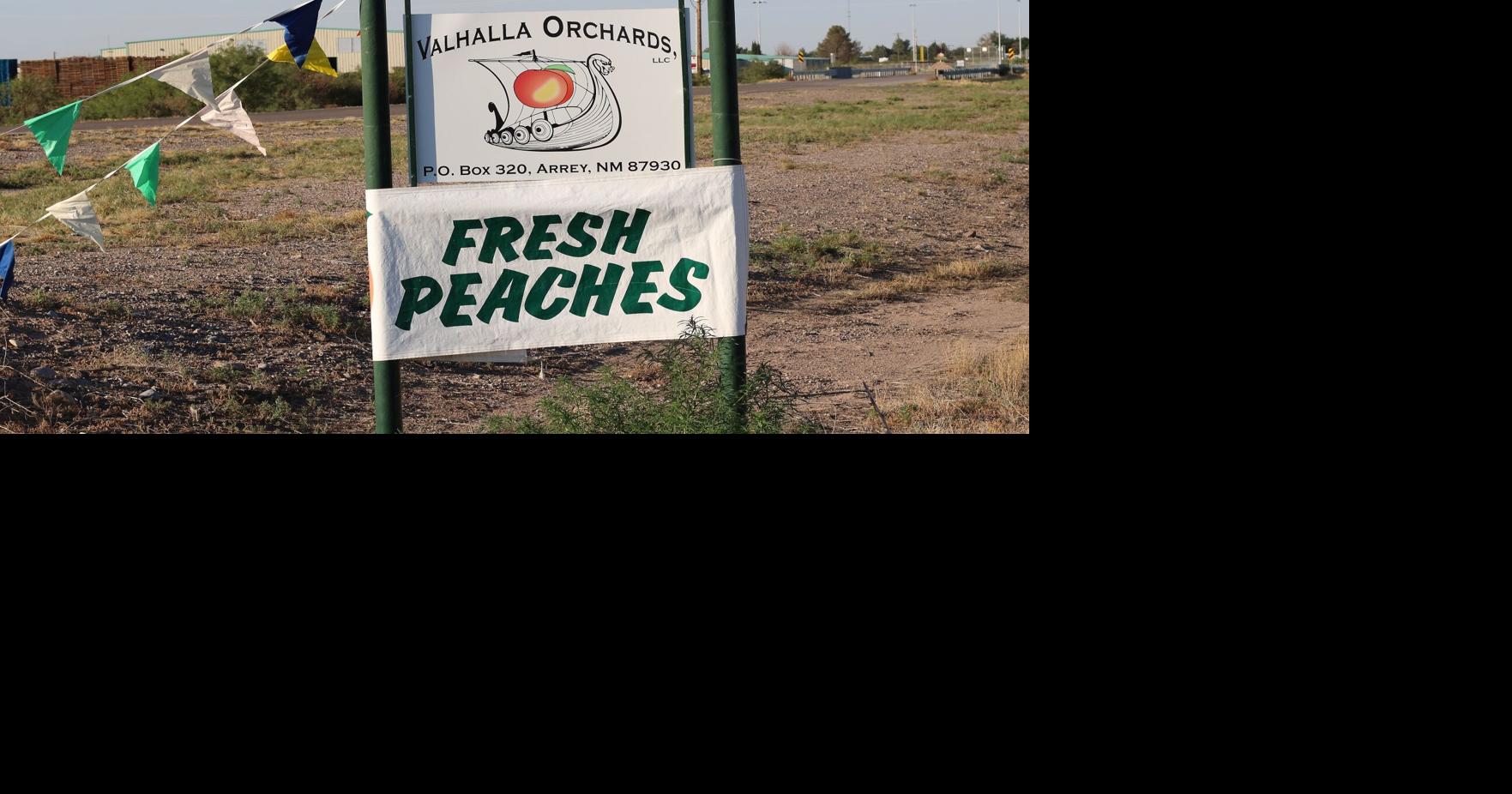 The Science of Peaches | Business | gpkmedia.com