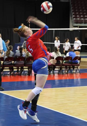 Tiger Volleyball At State Playoffs Round One: The Match In Pictures ...