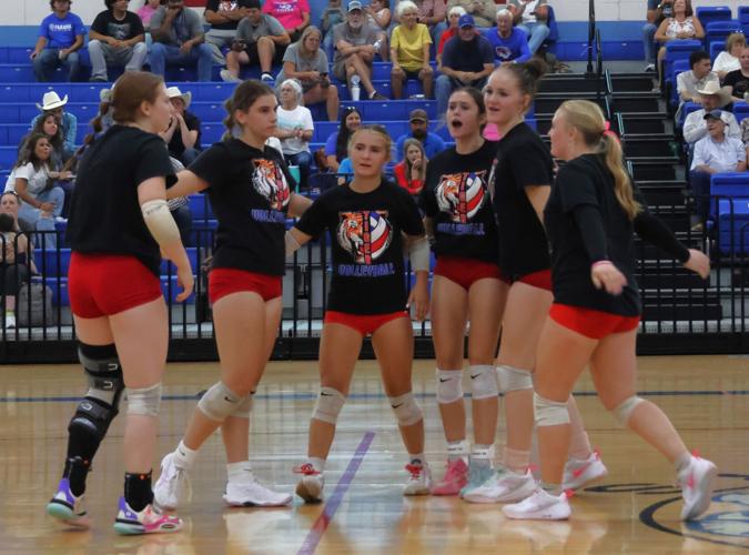 Forever Tigers - Tiger Volleyball Proves It Fundraiser Event | Sports ...