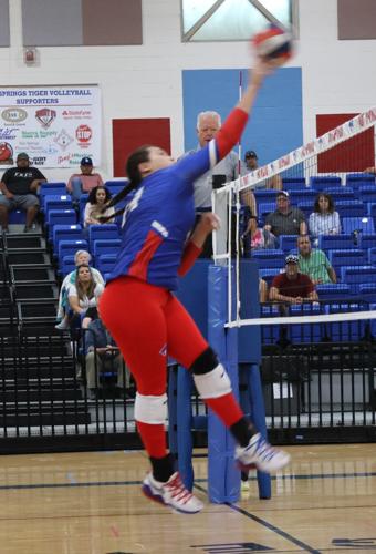 Tiger Volleyball Extends Win Streak To Seven | Sports | gpkmedia.com