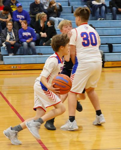 TCMS Tiger Boys Basketball: A Season In Pictures | Photo Galleries ...