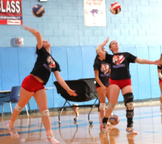 Forever Tigers - Tiger Volleyball Proves It Fundraiser Event | Sports ...