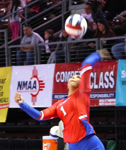 Tigers Advance At Volleyball State Playoffs | Sports | gpkmedia.com