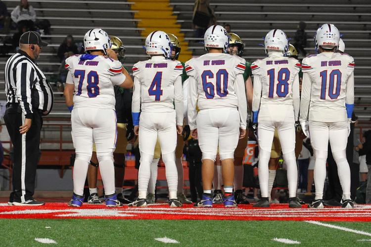 Tigers Finish Strong In State Playoffs - The Game In Pictures. | Sports ...
