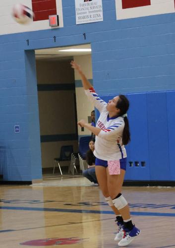 TIger Volleyball Battles In The Den: The Match In Pictures | Sports ...