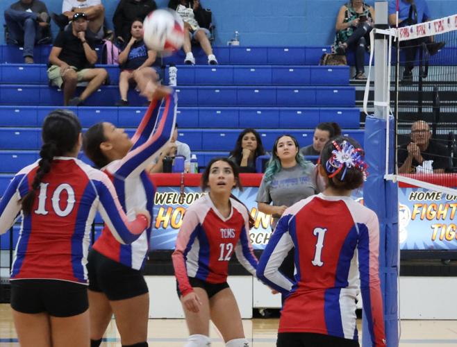 TCMS Tiger Volleyball Captures Second In District Tournament | Sports | gpkmedia.com