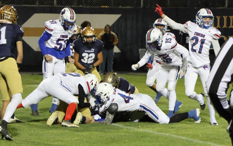 Tigers Claw Their Way Into State Playoffs: A Game In Pictures | Sports ...